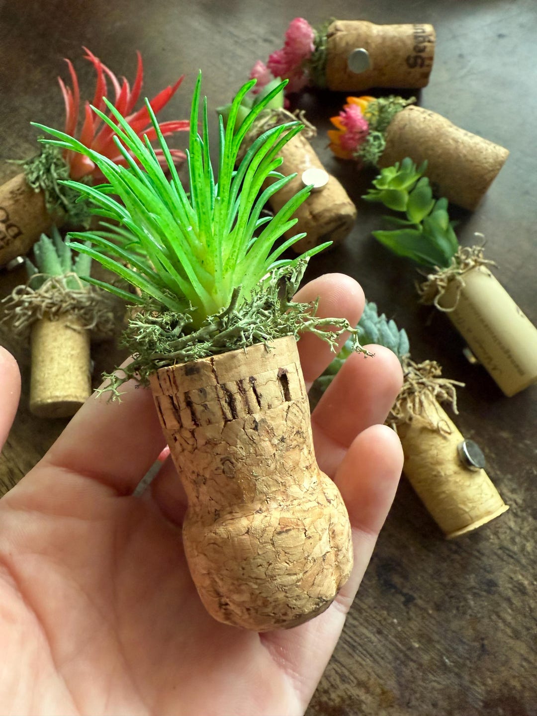 Upcycled Cork Magnets Cute Fridge Magnets Mini Succulent Magnets Plant ...