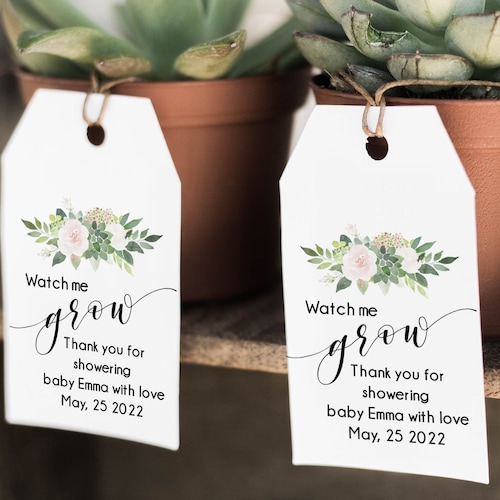 Succulent Baby Shower Favor Tags & Sign Editable Instant - Etsy