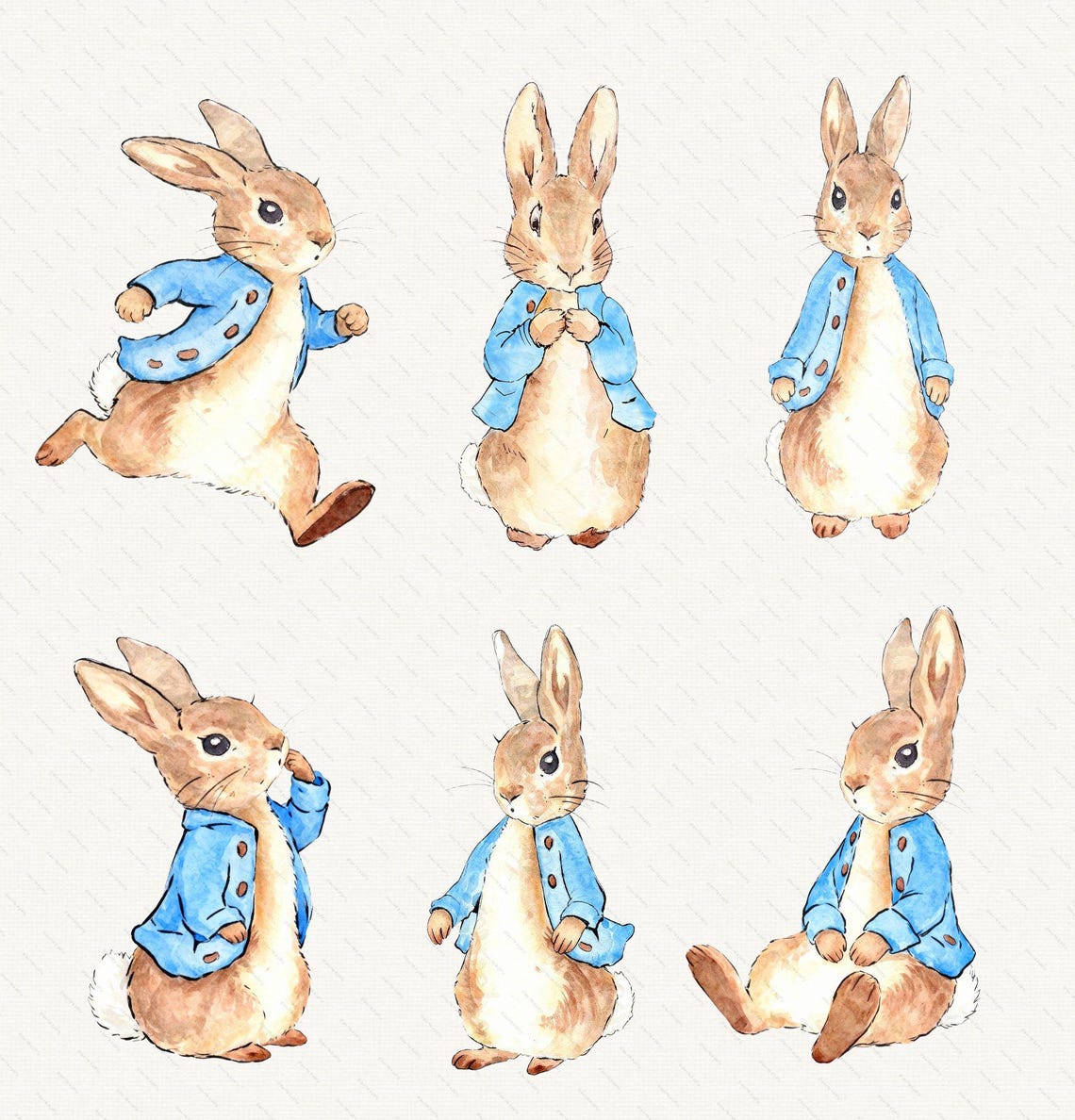 Petter Rabbit Clipart, Watercolor Bunny in Blue Jacket, Beatrix Potter ...