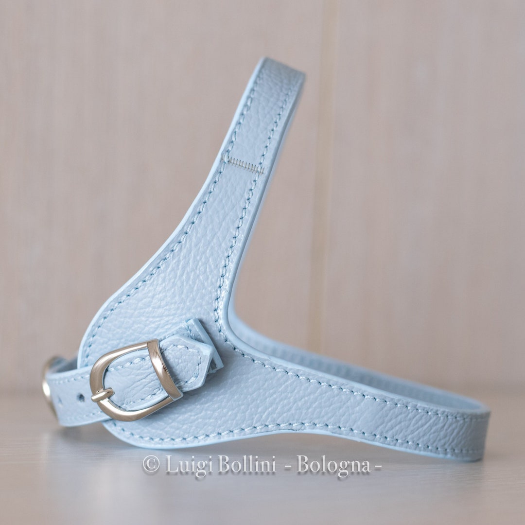Dog Harness, Made in Genuine Italian Leather, Color Light-blue - Etsy