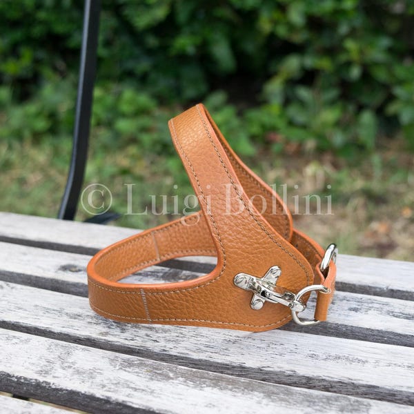 Luxury Dog Harness - Etsy
