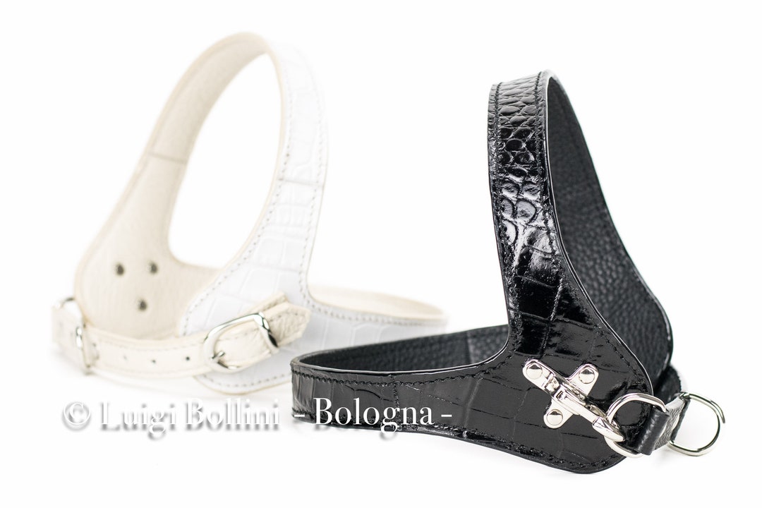 Pet Harness, Elegant and Refined, Handcrafted in Italy - Etsy