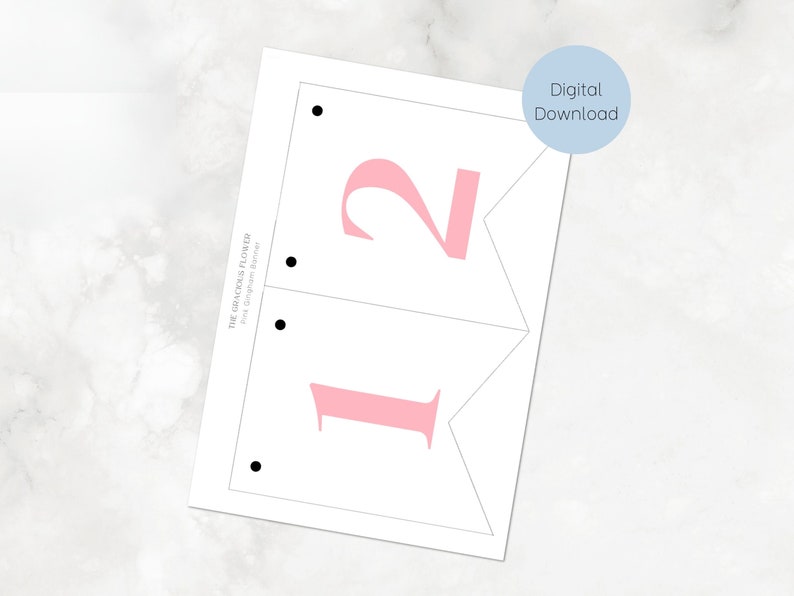 Pink Gingham Banner | Printable PDF | Includes ALL Letters | Bridal ...