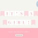 Pink Gingham Banner | Printable PDF | Includes ALL Letters | Bridal ...
