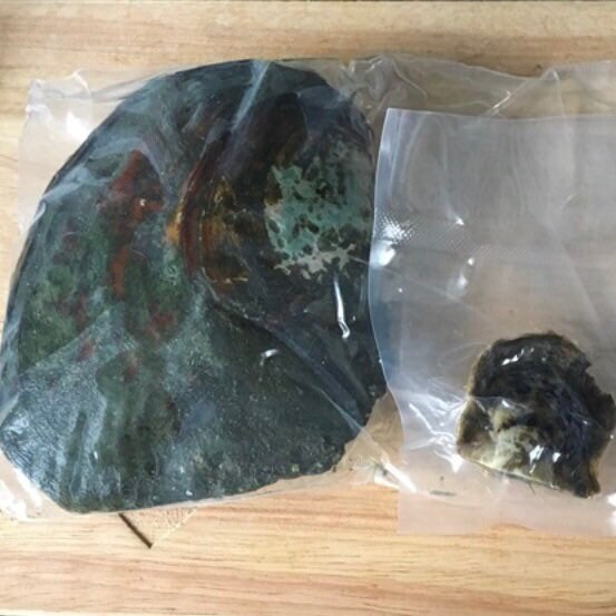 Monster Oysters 15-30 Pearls Inside - Etsy