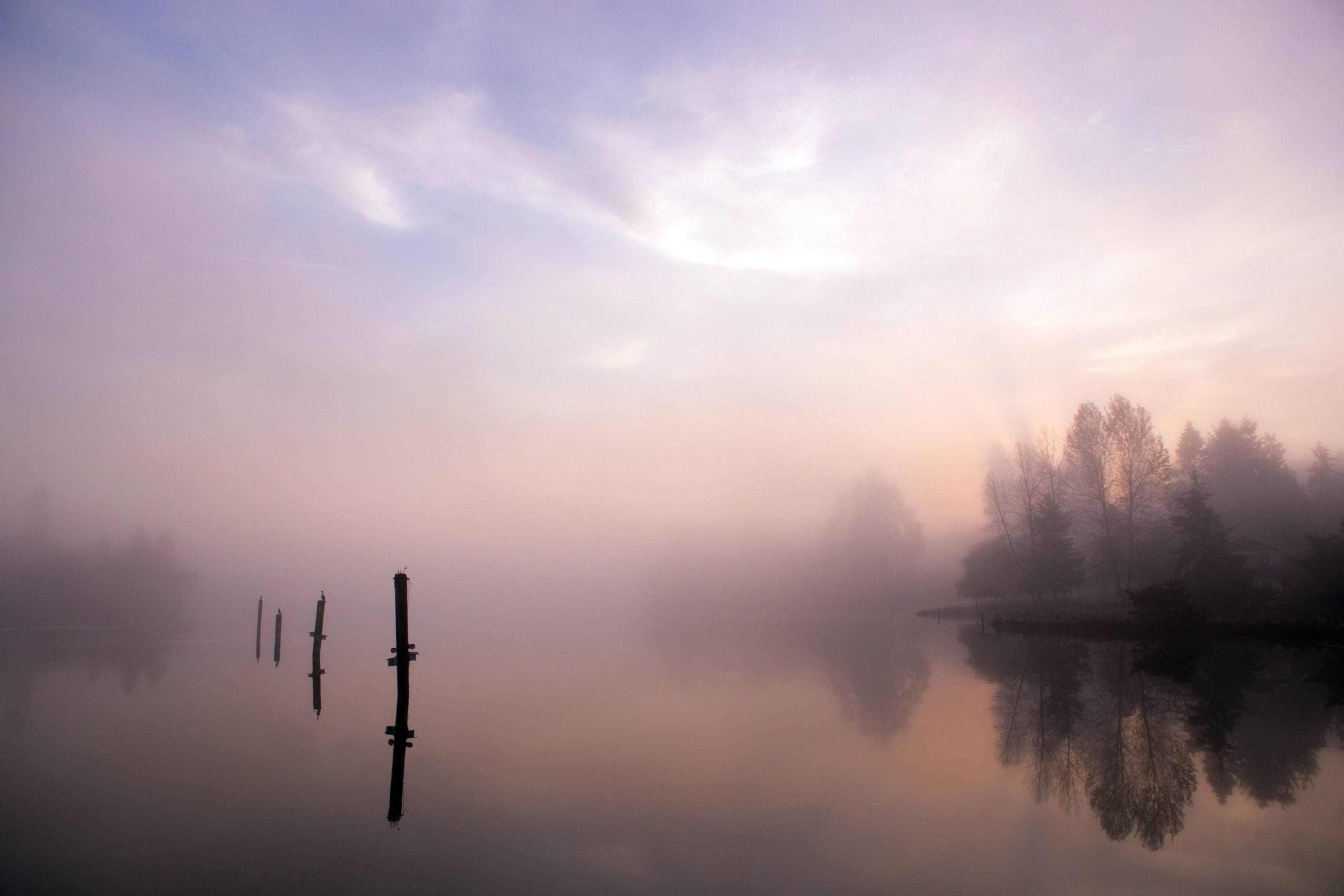 Morning Fog, Eagle Harbor Bainbridge Island, Morning Fog on Still ...