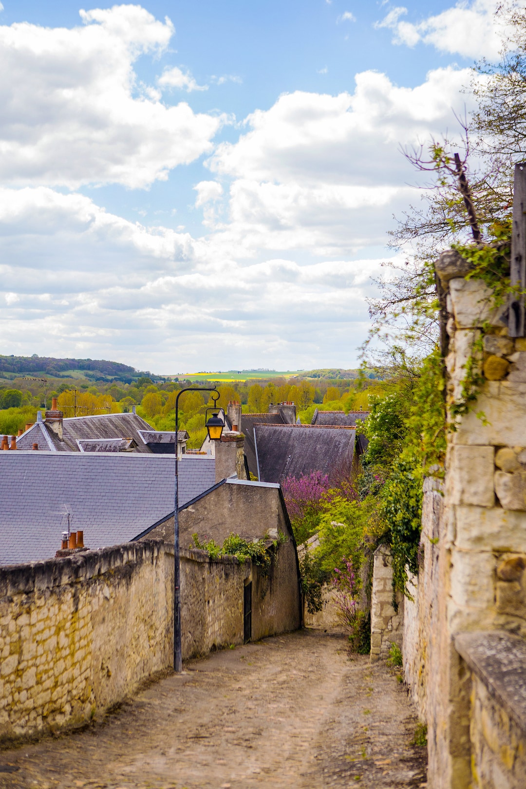 Loire Valley Road, French Street in Small Village Travel Photograph ...