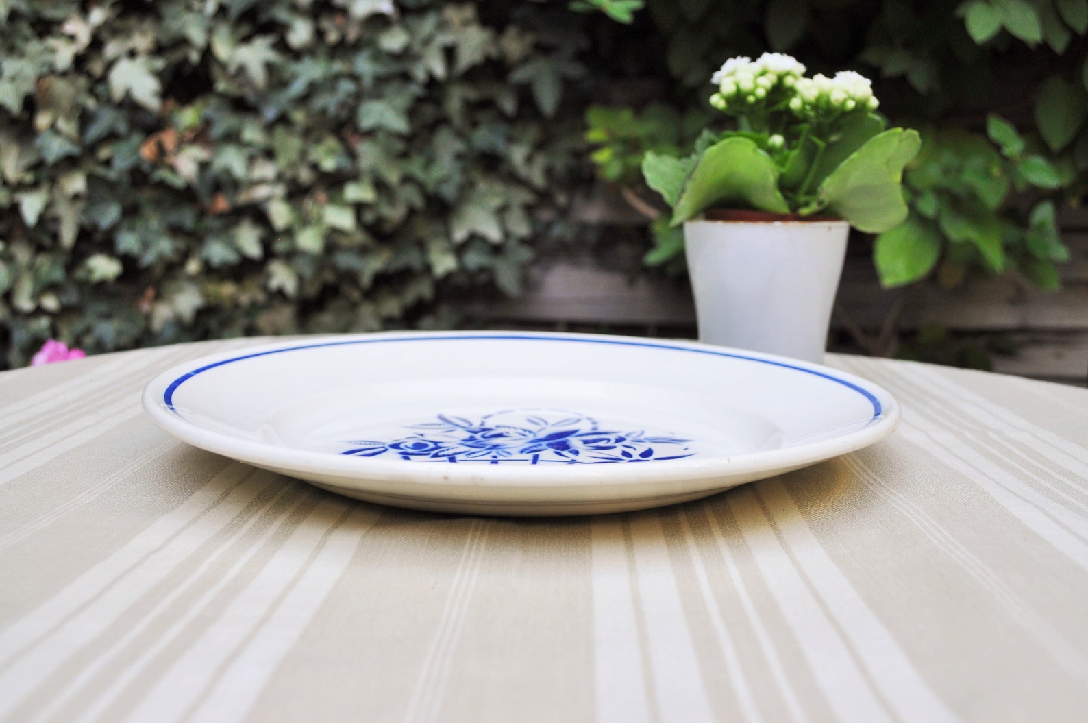 Set of 6 Vintage French Dinner Plates White and Blue Stencil - Etsy