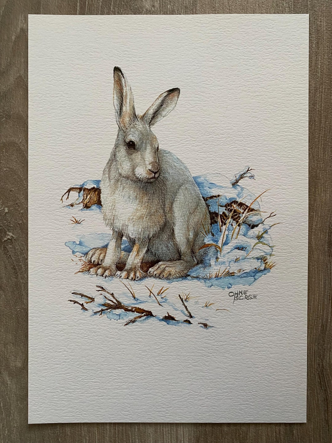 Vintage Animal Print Snowshoe Hare - Etsy