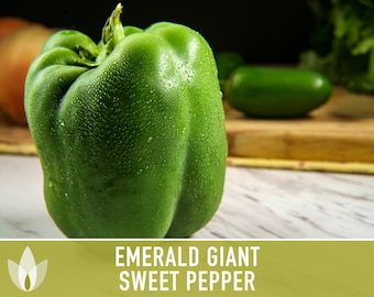 Stuffed Bell Pepper - Etsy