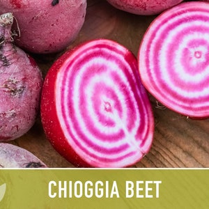 Chioggia Beet Seeds - Heirloom Seeds, Candy Cane, Bullseye Beet, Open ...