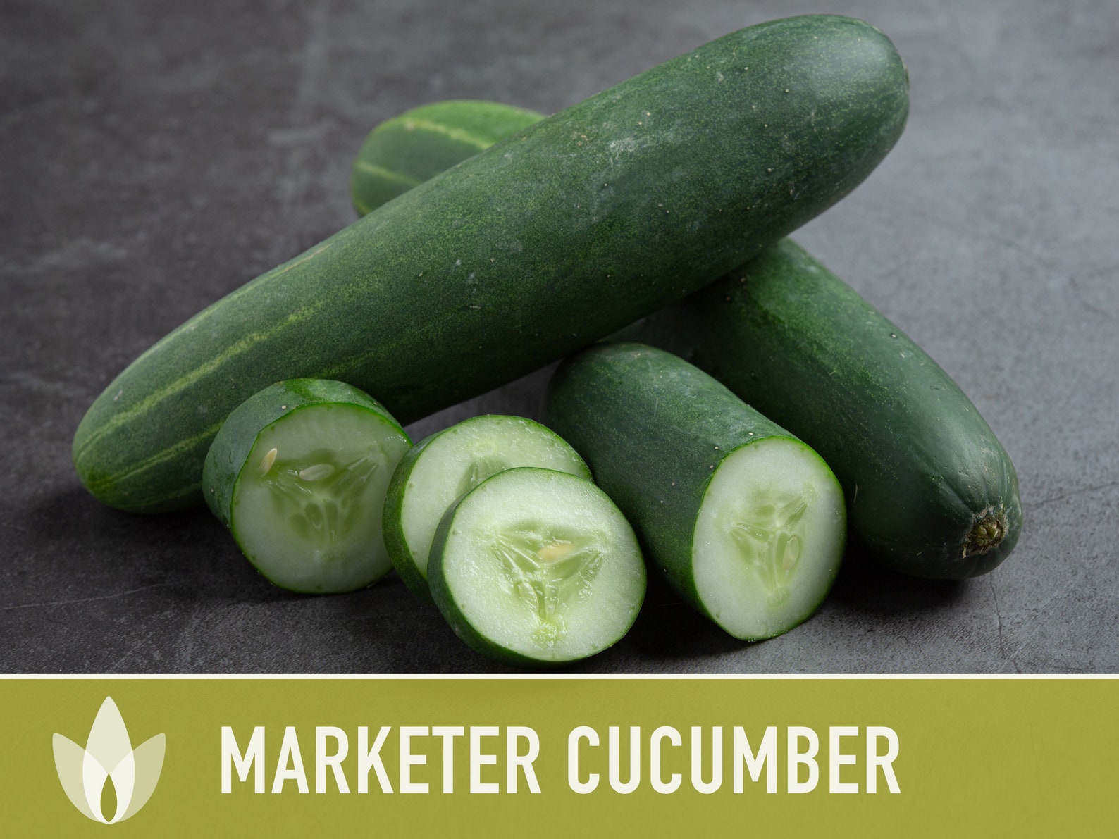 Marketer Cucumber Seeds Heirloom Seeds AAS Winner Slicing - Etsy