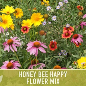 Honey Bee Wildflower Seed Mix – Organic Pollinator Garden, 100+ Seeds ...