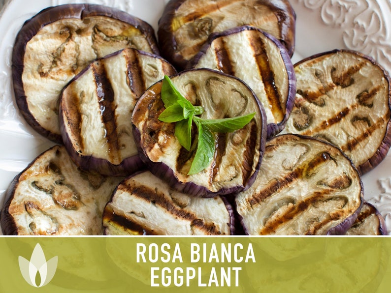 Rosa Bianca Eggplant Seeds - Heirloom, Open Pollinated, Non-gmo - Etsy