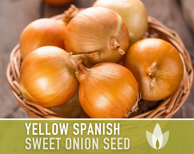 Vidalia Onion, 200 Seeds, Yellow Granex Hybrid F1, Sweetest Onion ...