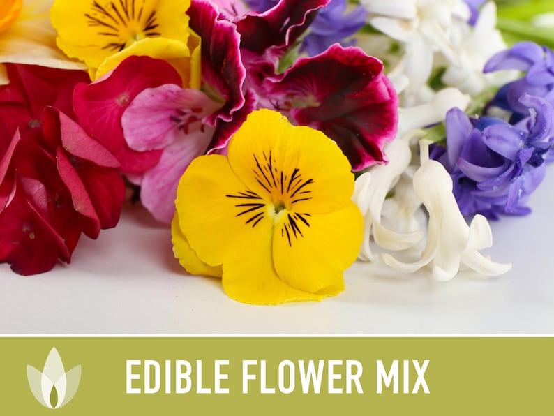 Edible Flower Heirloom Seed Mix Seed Packets Flower Seeds - Etsy
