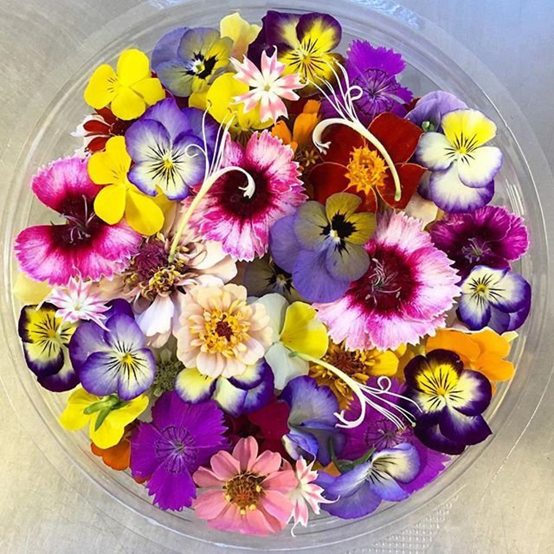 Edible Flower Heirloom Seed Mix Seed Packets Flower Seeds - Etsy