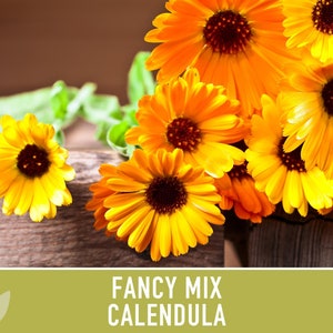 Calendula Officinalis, Fancy Mix Heirloom Seeds, Flower Seeds - Etsy