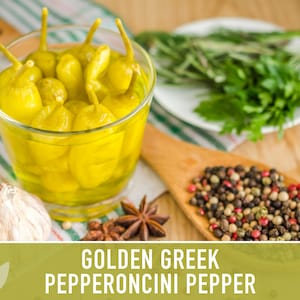 Golden Greek Pepperoncini Pepper Heirloom Seeds - Pickled Pepper, Greek ...