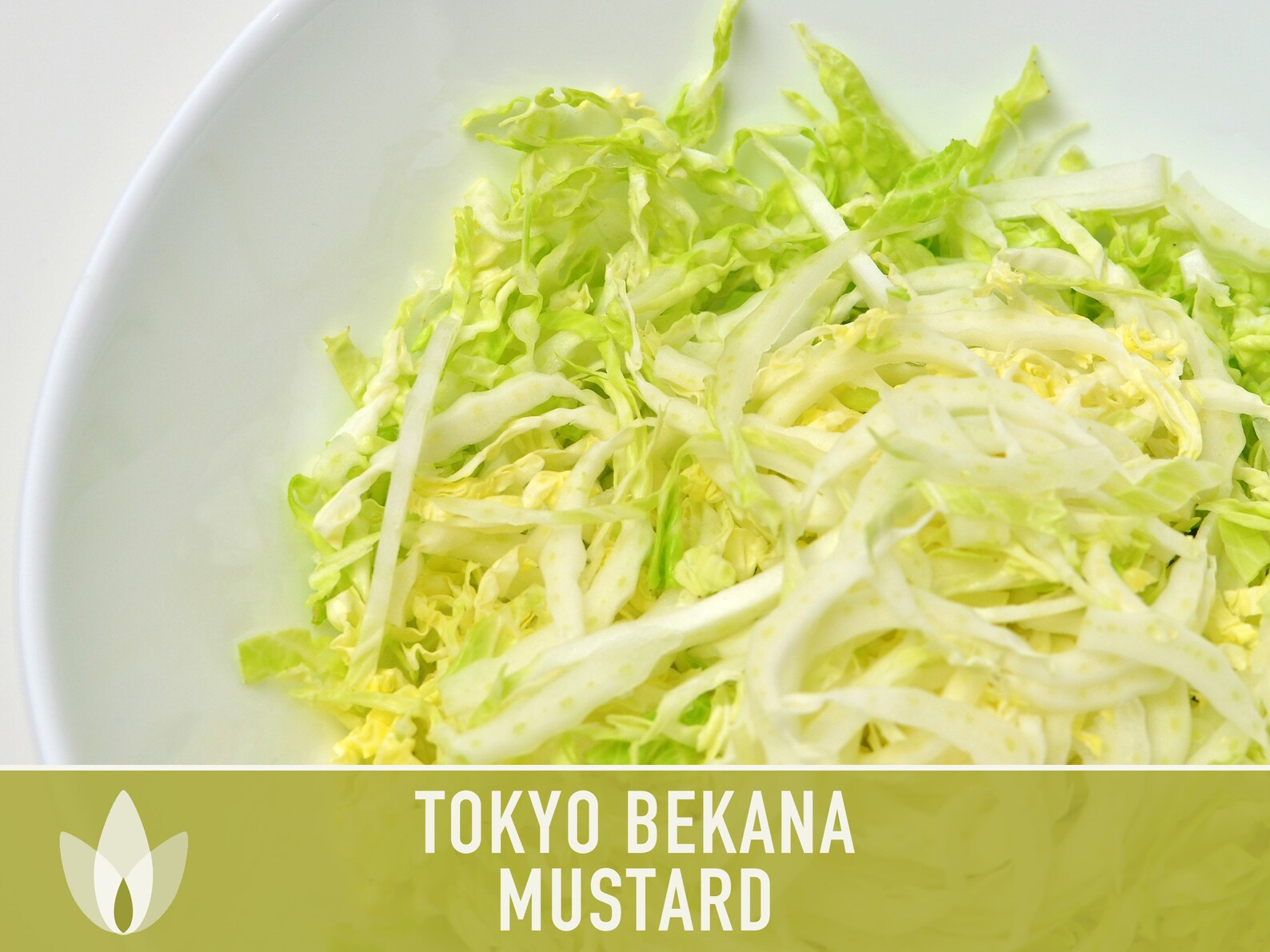 Tokyo Bekana Mustard Green Seeds - Heirloom, Non-gmo - Etsy
