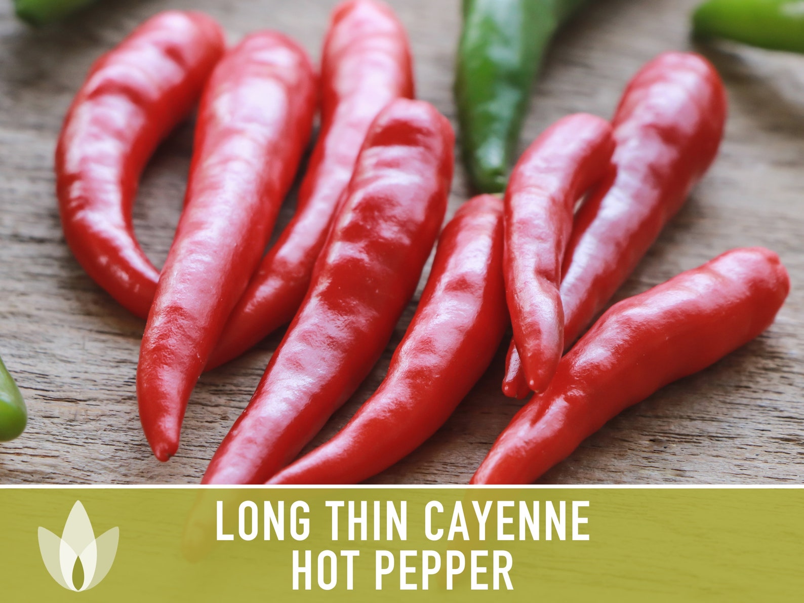 Cayenne Long Red Thin Hot Pepper Heirloom Seeds - Etsy
