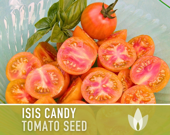 Isis Candy Cherry Tomato Heirloom Seeds - Etsy