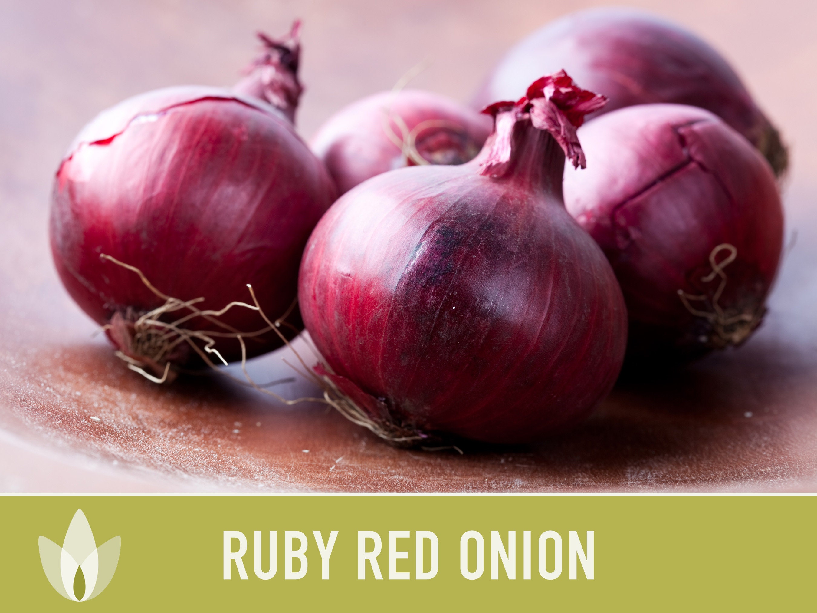 Ruby Red Onion Heirloom Seeds - Etsy