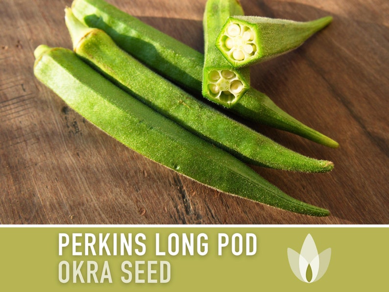 Perkins Long Pod Okra Seeds - Heirloom, Non-gmo - Etsy