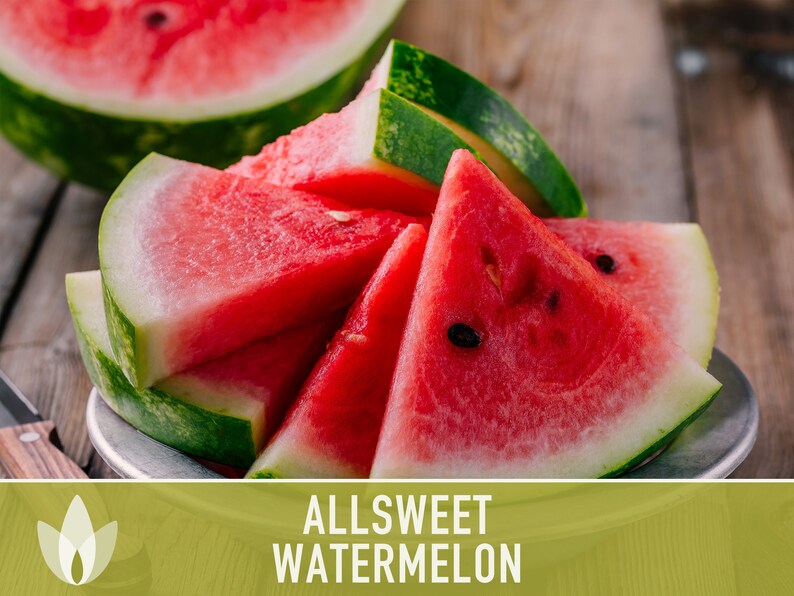 Allsweet Watermelon Heirloom Seeds Non-gmo Open Pollinated - Etsy