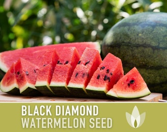 Black Diamond, Heirloom Watermelon, 10 Seeds, Non GMO, Huge Fruits ...