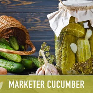 Marketer Cucumber Seeds - Heirloom Seeds, AAS Winner, Slicing Cucumber ...