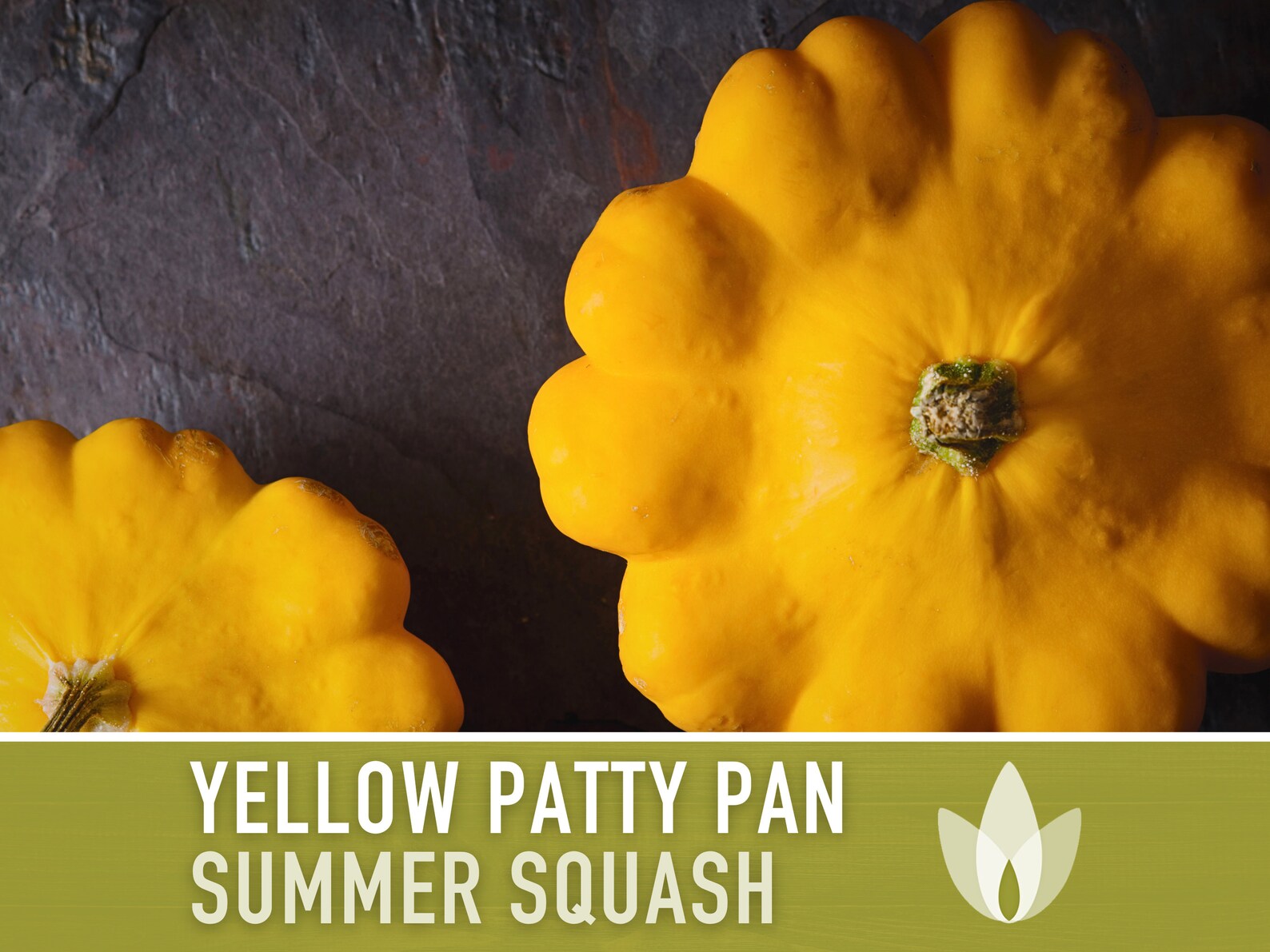 Yellow Scallop Patty Pan Bush Summer Squash Heirloom Seeds - Etsy