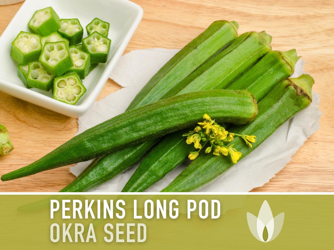 Perkins Long Pod Okra Seeds - Heirloom, Non-gmo - Etsy