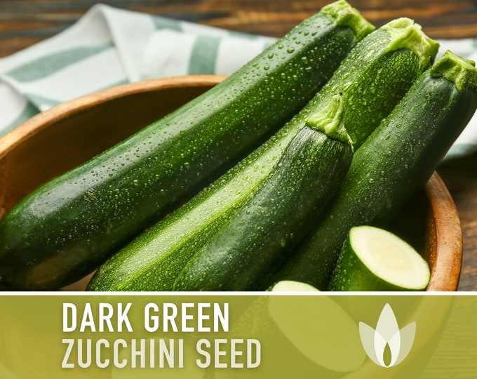 5 Golden Zucchini Yellow Courgette Vegetable Seeds VW91019 - Etsy