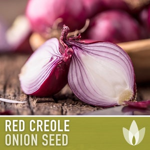 Red Creole Onion Heirloom Seeds - Short Day, Open Pollinated, Non-gmo ...