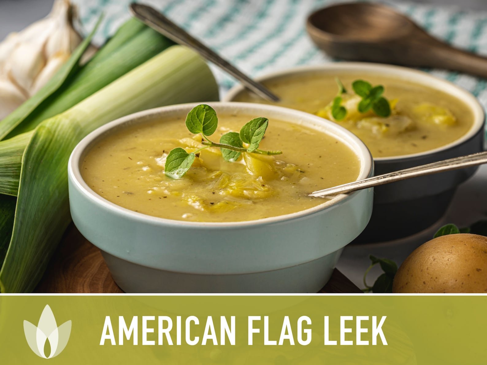 American Flag Leek Heirloom Seeds - Etsy