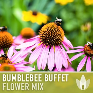 Bumblebee Buffet Flower Seed Mix - Heirloom Seeds, Wildflower Mix ...