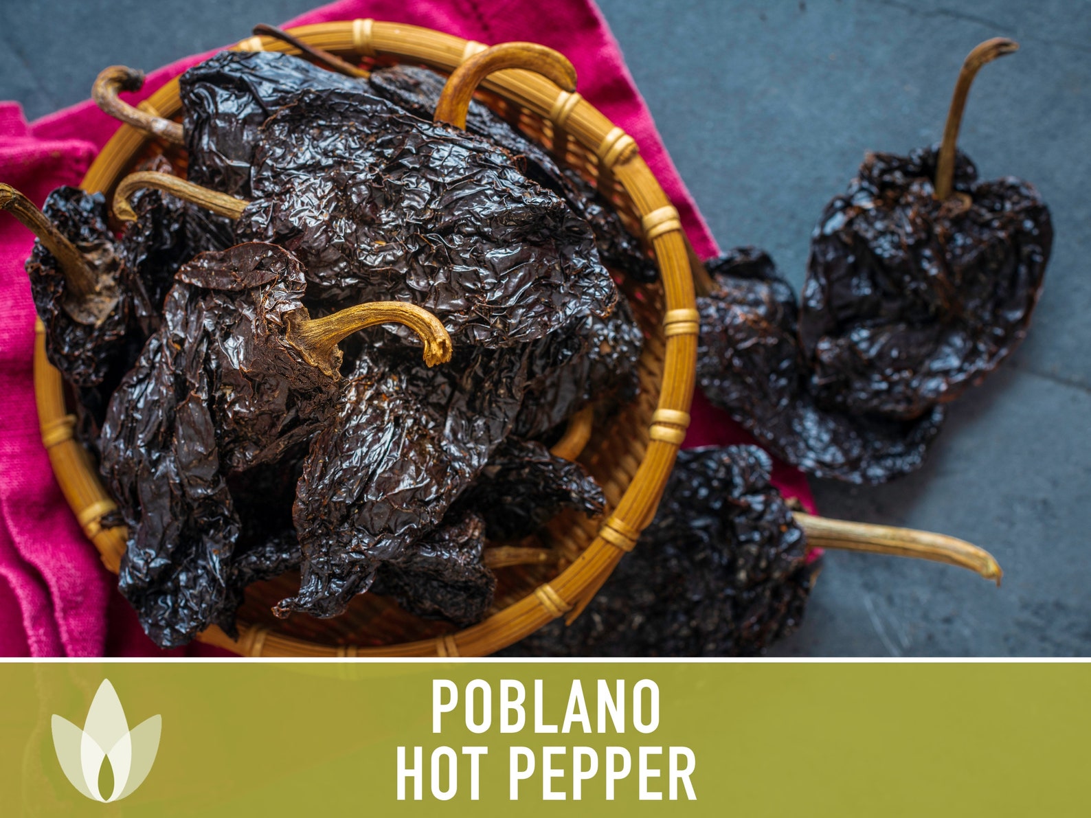 Poblano Ancho Hot Pepper Heirloom Seeds Chili Rellenos, Mexican Ancho ...