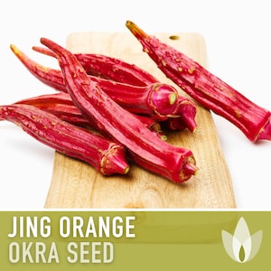 Jing Orange Okra Seeds - Heirloom Seeds, Asian Seeds, Chinese Okra ...