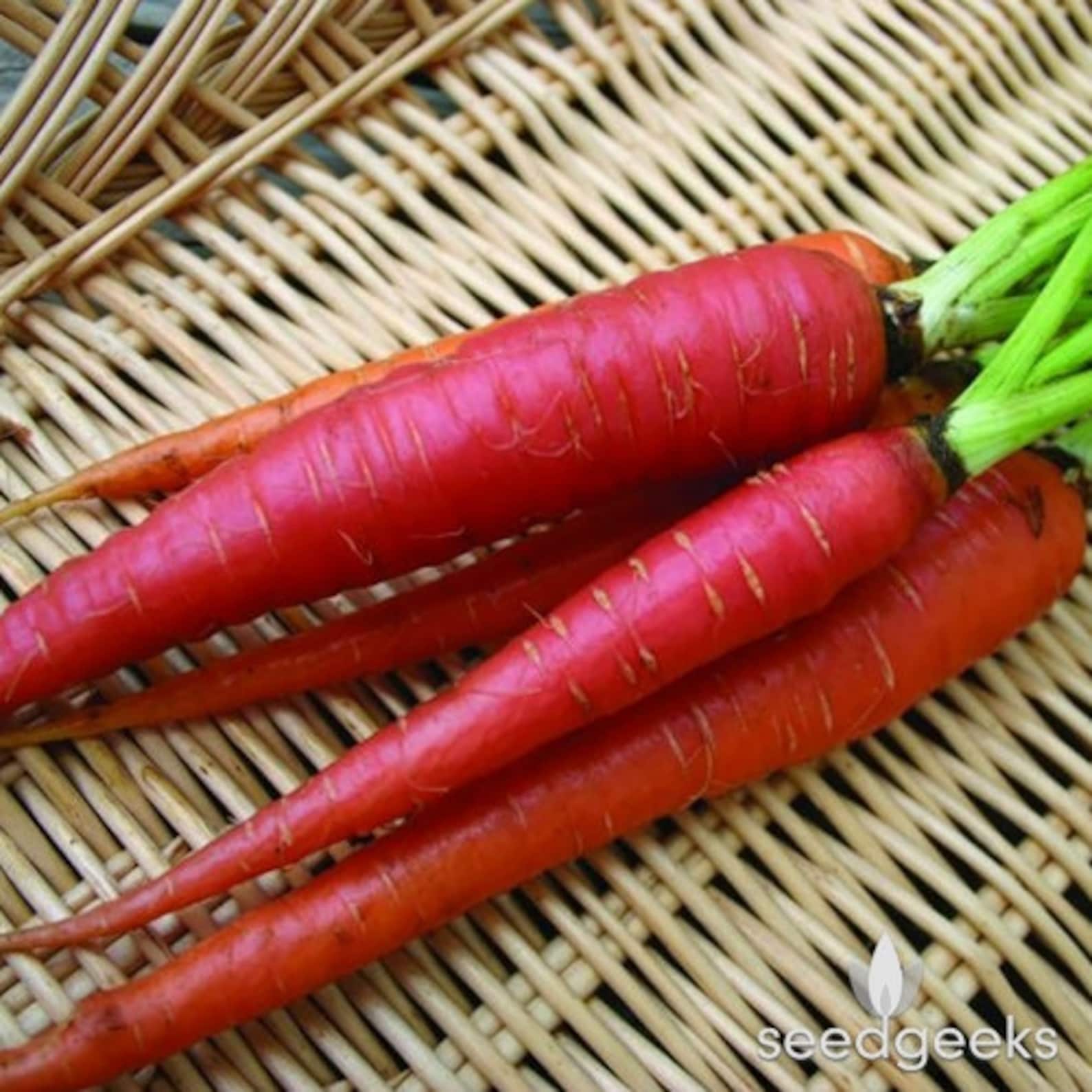 Atomic Red Carrot Heirloom Seeds | Etsy