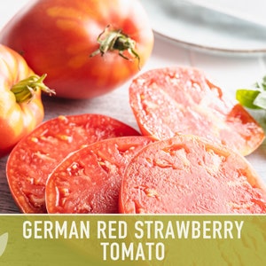 German Red Strawberry Tomato Seeds - Heirloom, Oxheart Tomato, German ...
