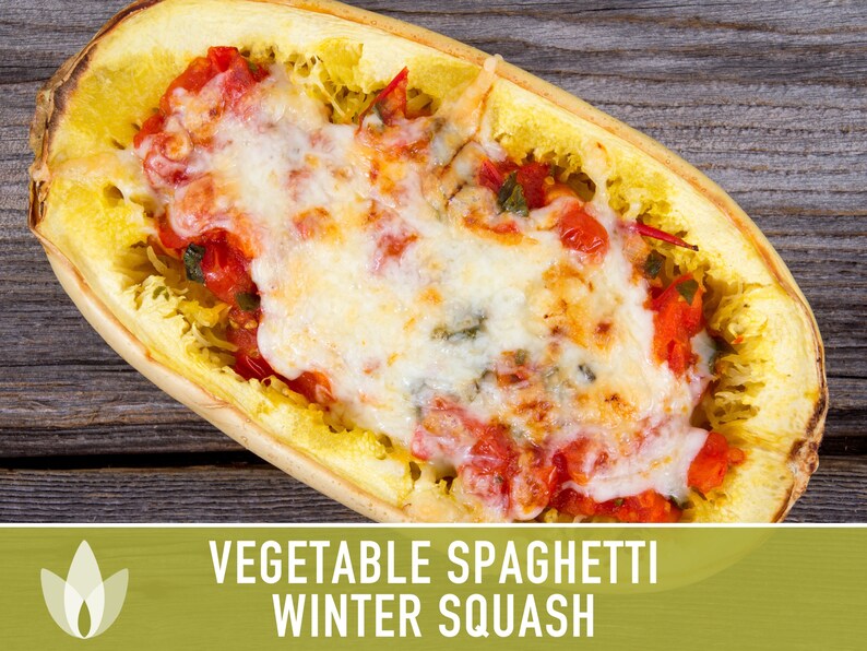 Vegetable Spaghetti Winter Squash Heirloom Seeds Pasta - Etsy