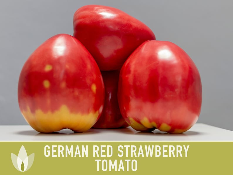 German Red Strawberry Tomato Seeds Heirloom Oxheart Tomato - Etsy