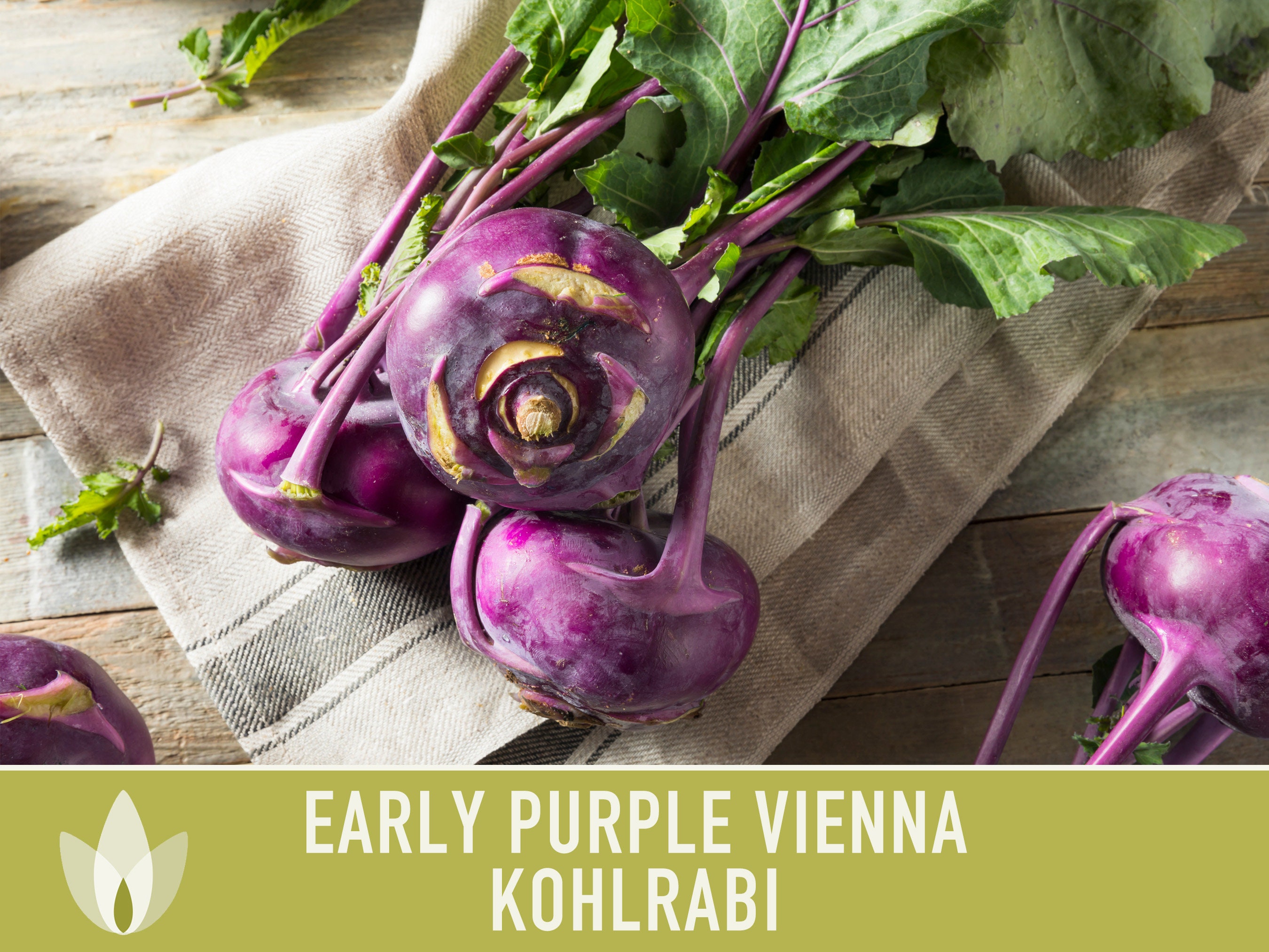 Purple Kohlrabi