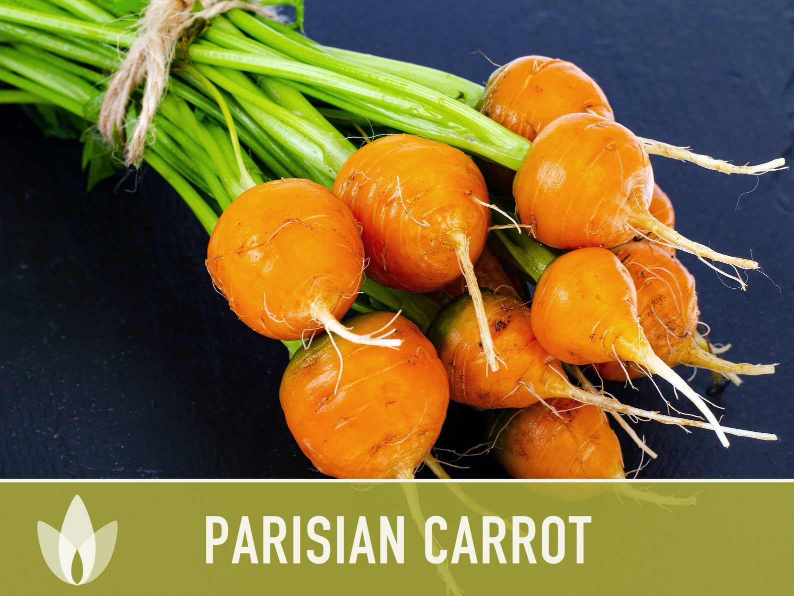Parisian Carrot Heirloom Seeds Baby Carrots Canning - Etsy