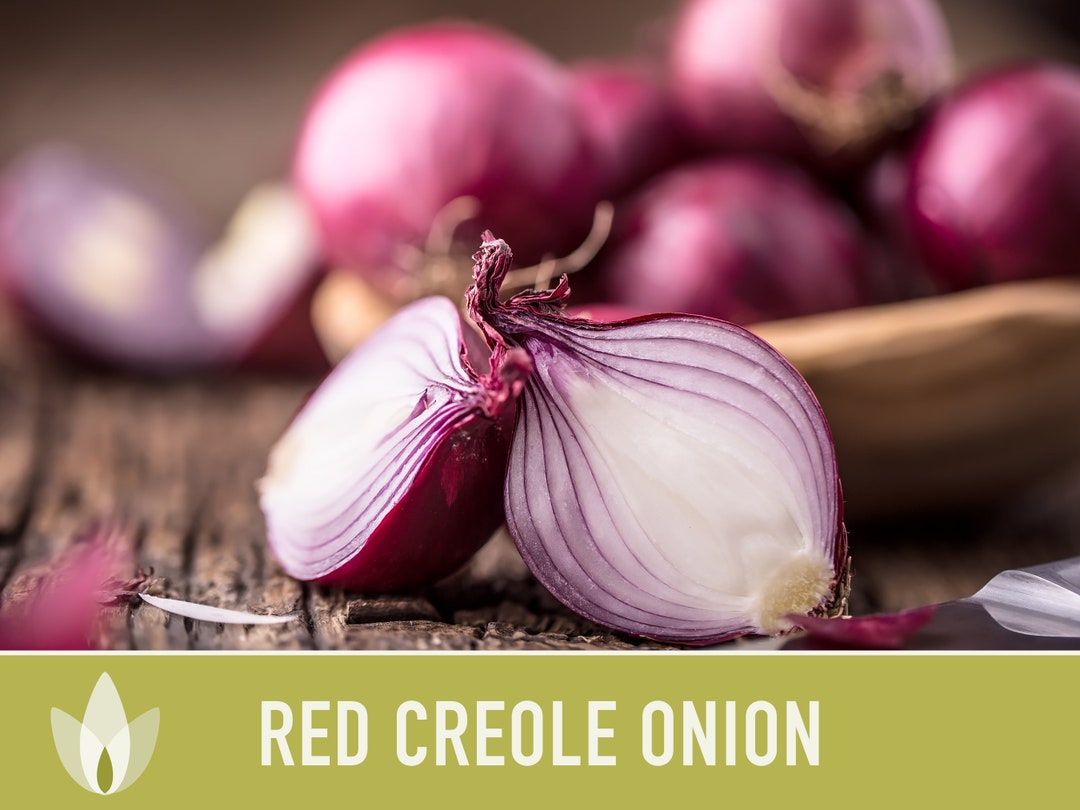 Red Creole Onion Heirloom Seeds Short Day Open Pollinated - Etsy