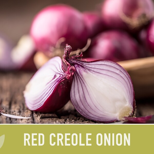 Onion Storage - Etsy
