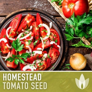 Homestead Improved Tomato Seeds – Heirloom, Heat Tolerant, Canning ...