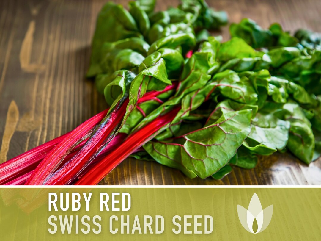 Ruby Red Swiss Chard Heirloom Seeds - Long Season, Slow Bolt, Edible ...