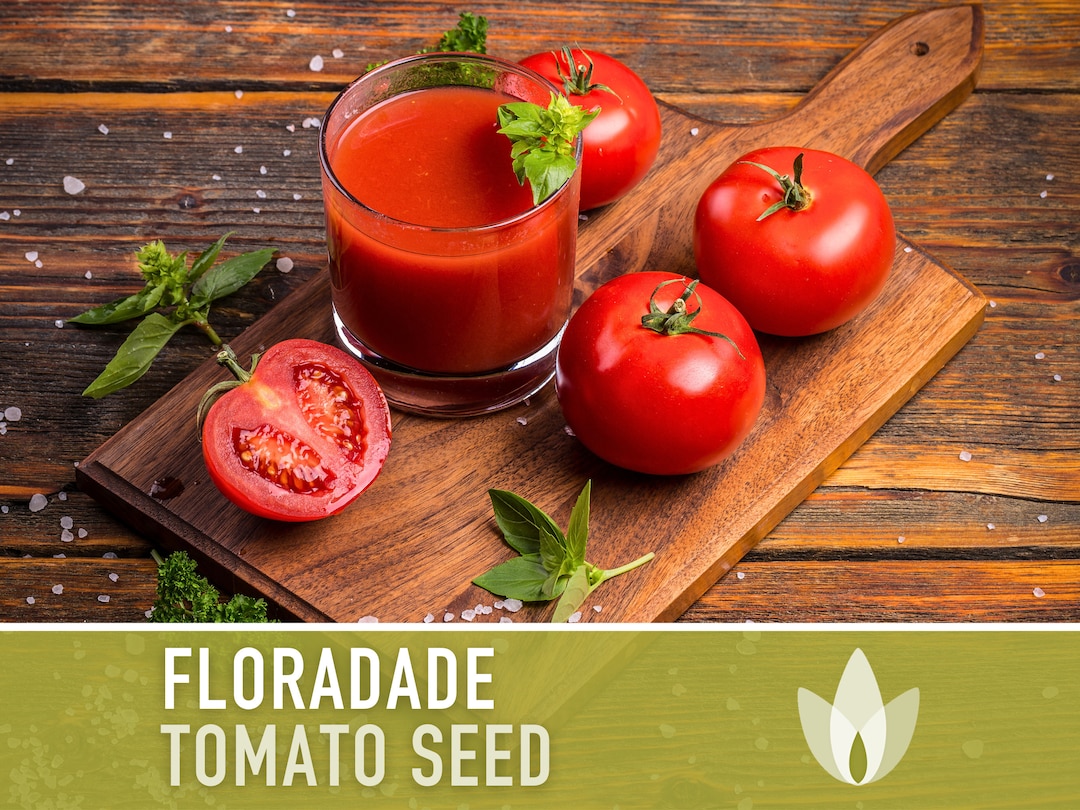 Floradade Tomato Seeds - Heirloom Seeds, Determinate, Sauce Tomato ...